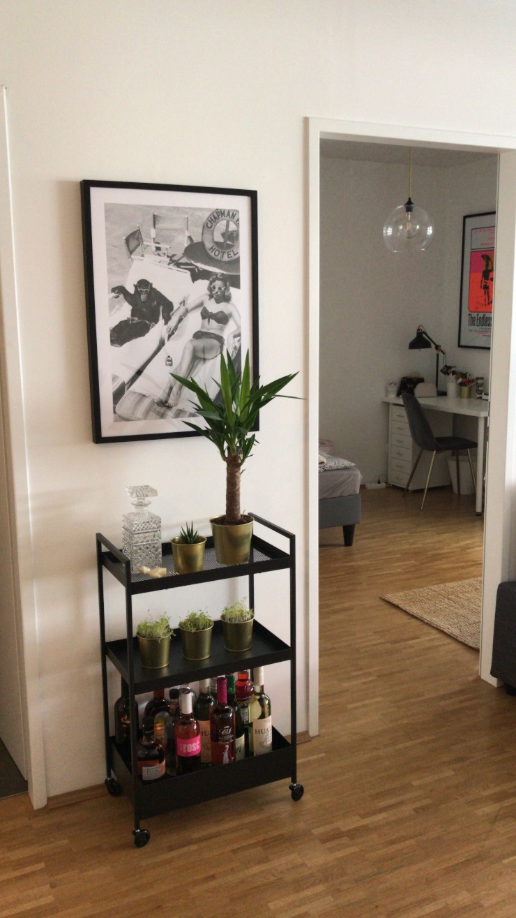 Zwischenmiete: moderne 3-Zimmer Wohnung - Wohnung in Graz-Gries