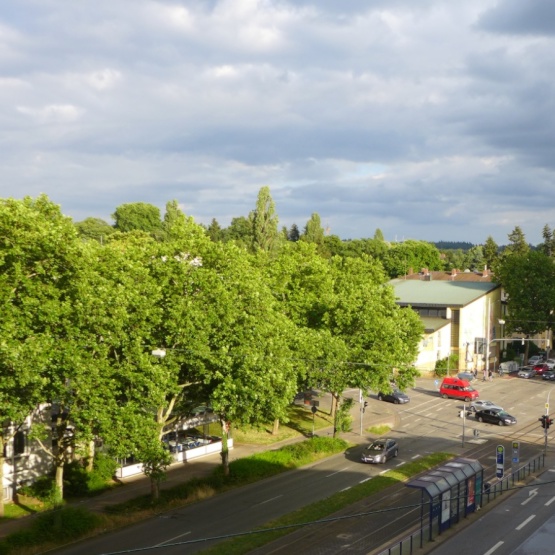 wohnungen-in-darmstadt-aktuelle-wohnungsangebote-im-berblick