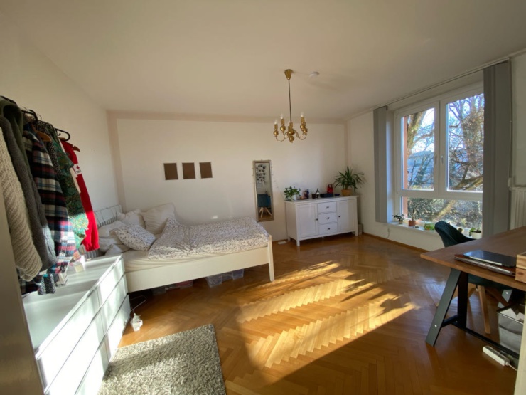 Helles Zimmer in 3er Mädels-WG - direkt neben der KFU - WG Graz-Geidorf