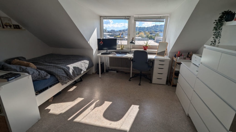 Schönes WG-Zimmer in 3er Mädels-WG - WG Suche Koblenz-Rauental