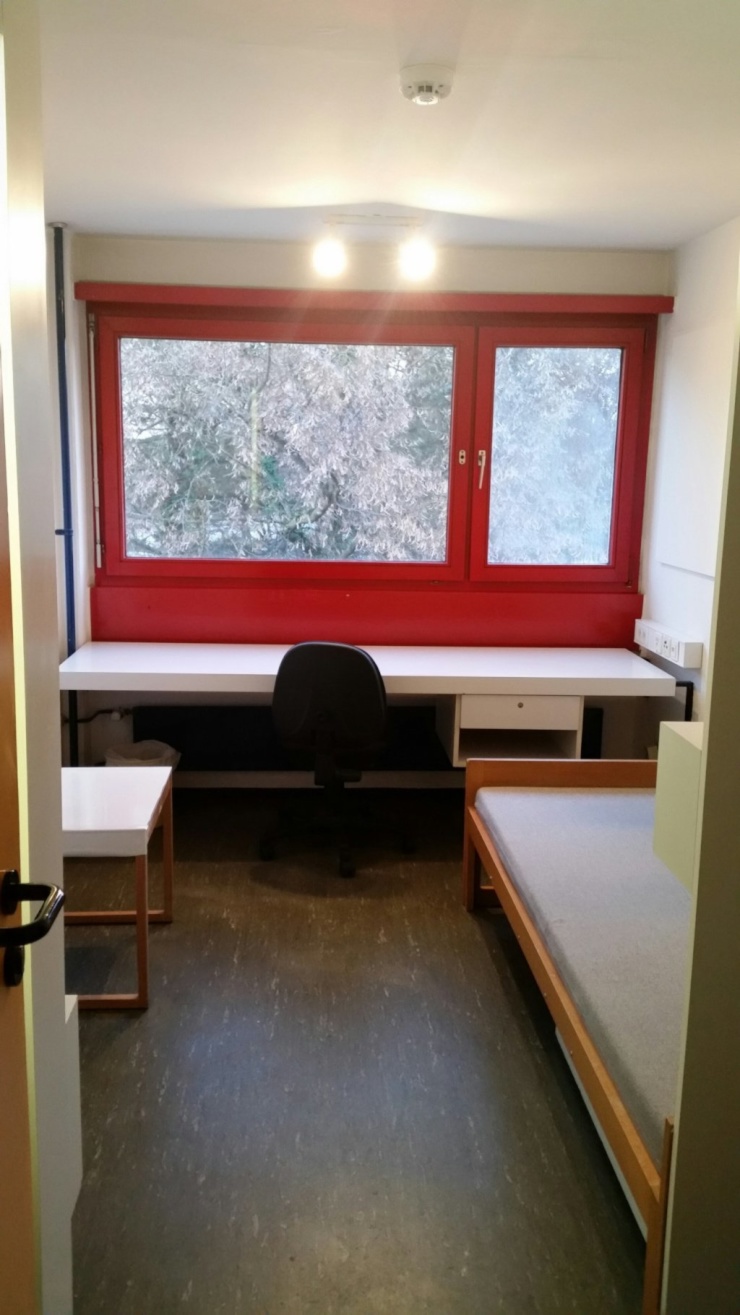 Zimmer im Wohnheim nahe Hochschule/ room in Student residence close to ...